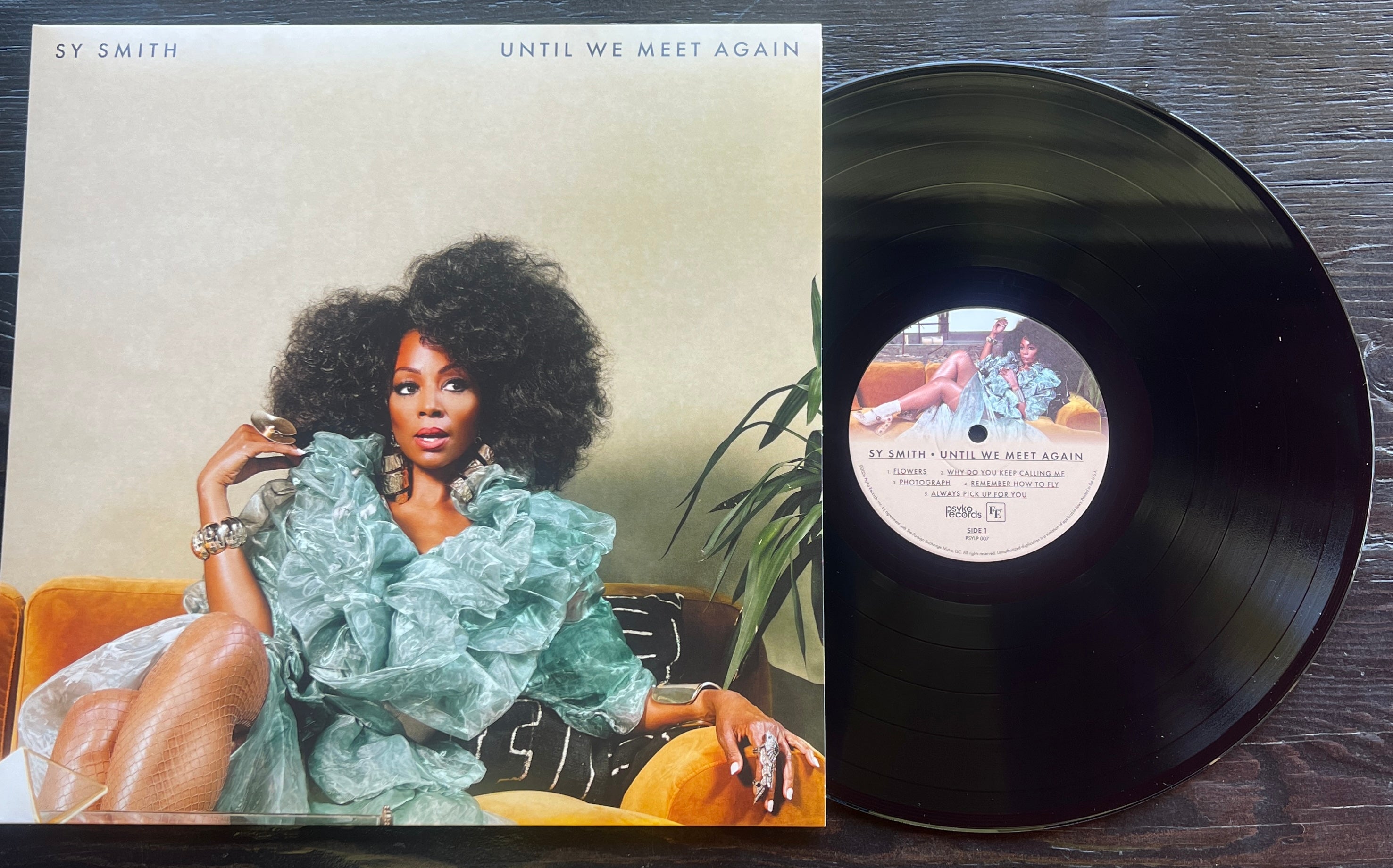 SyberSpace - Sy Smith's Online Store